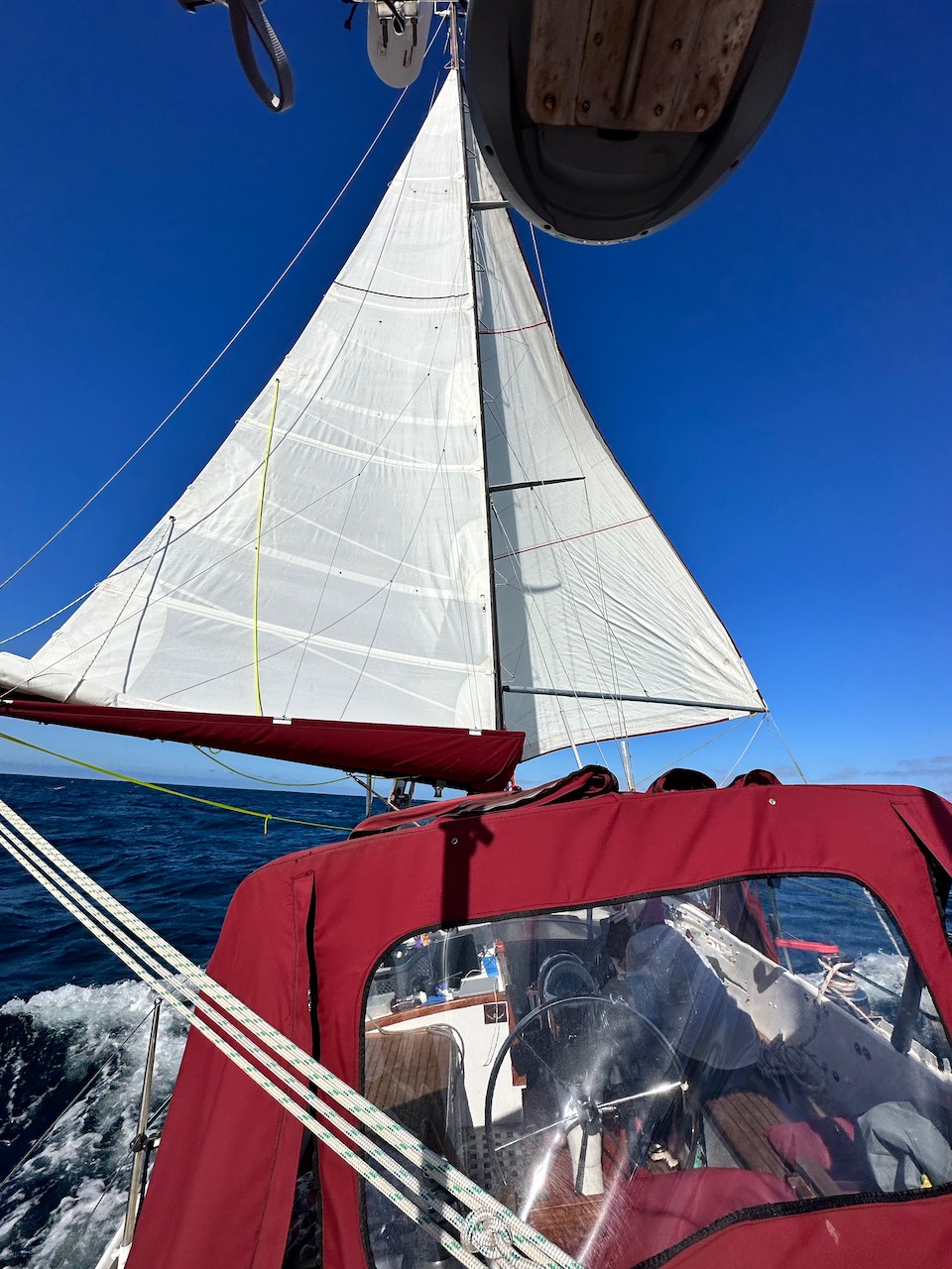 Sojourn to Stewart Island – Sailing Taurus NZ